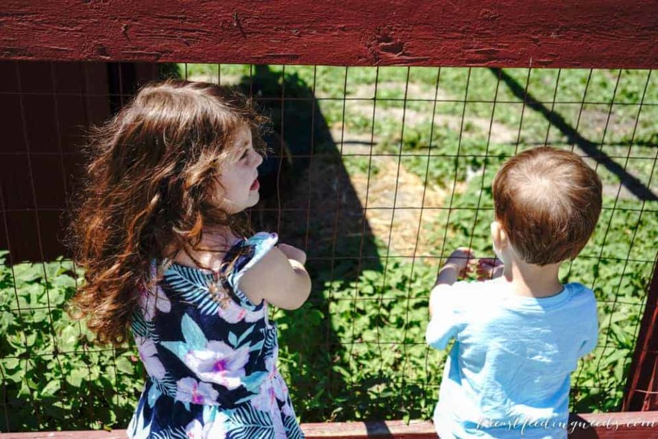Juggling Three Children Under Four, One Month In - Breastfeeding Needs